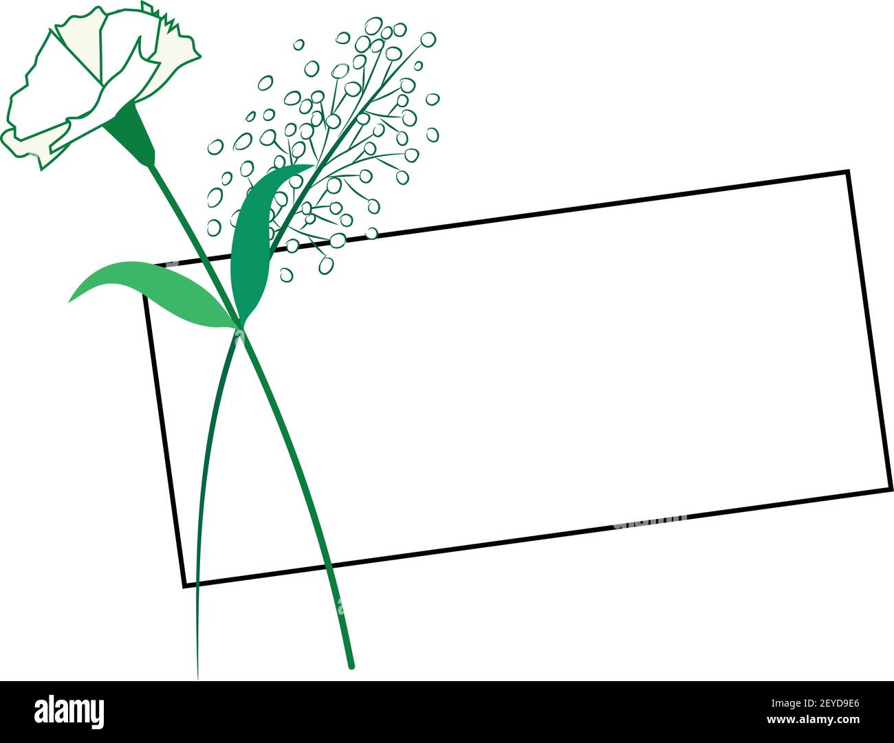 vector drawing art carnation flower with card border frame background ...