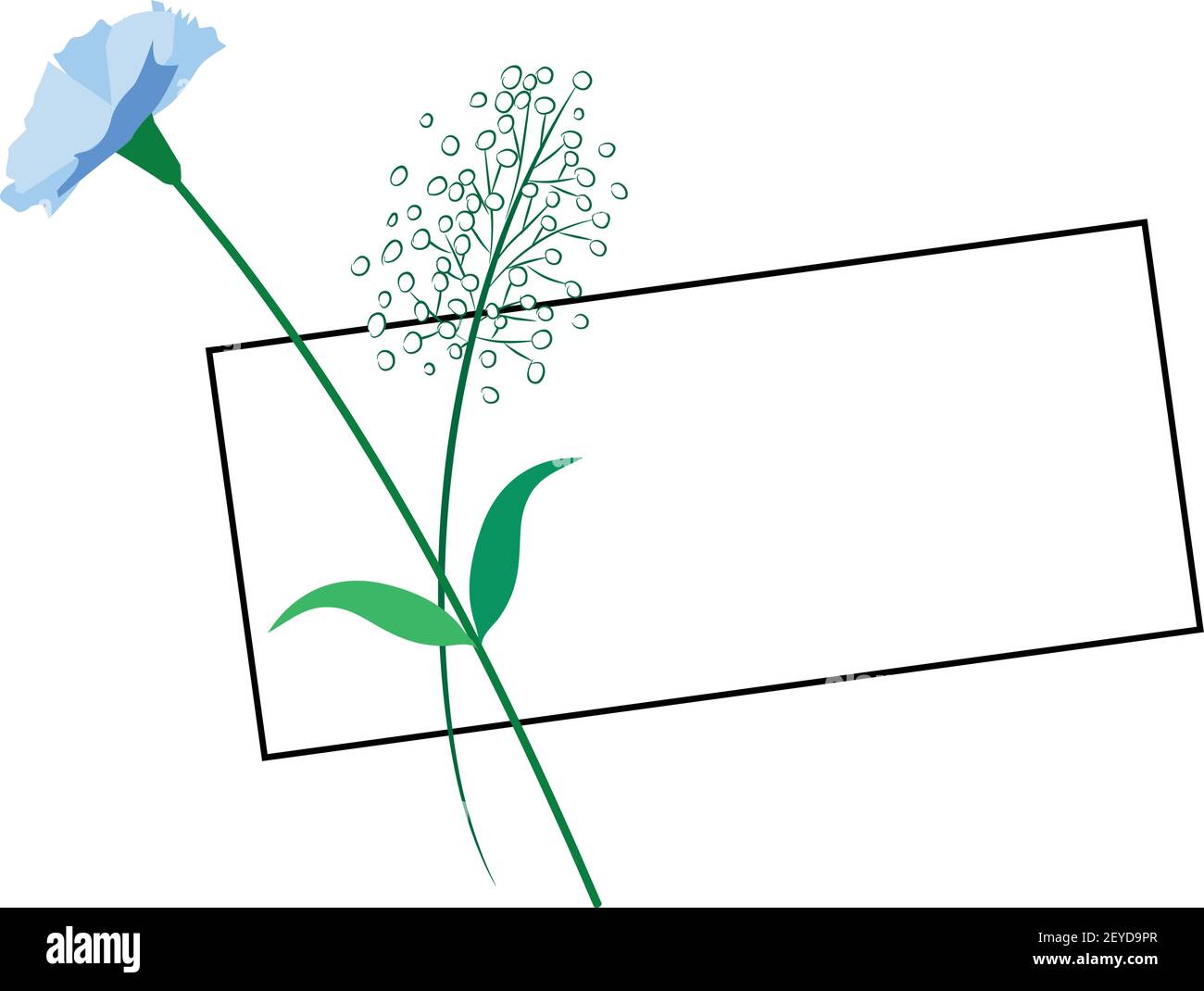 vector drawing art carnation flower with card border frame background ...