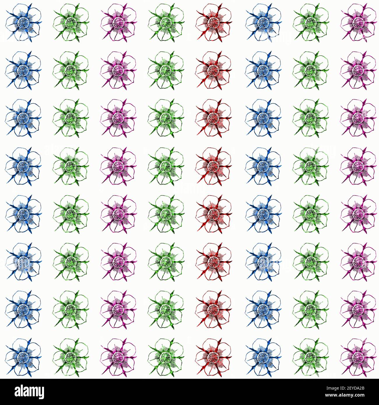 An illustration of the same flower in four different colors on a white ...