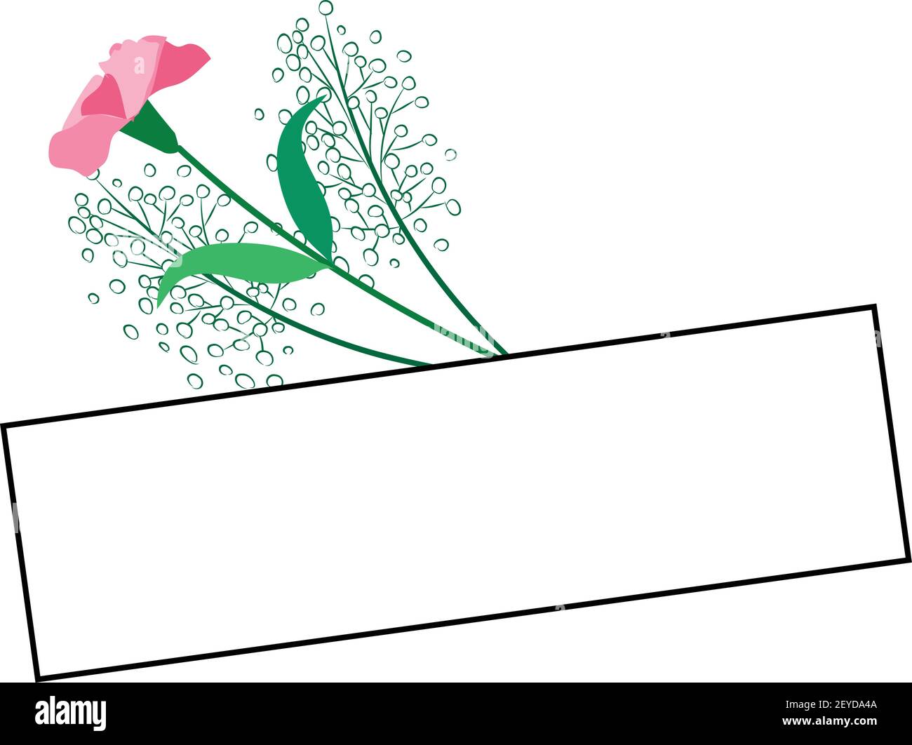 vector drawing art carnation flower with card border frame background ...