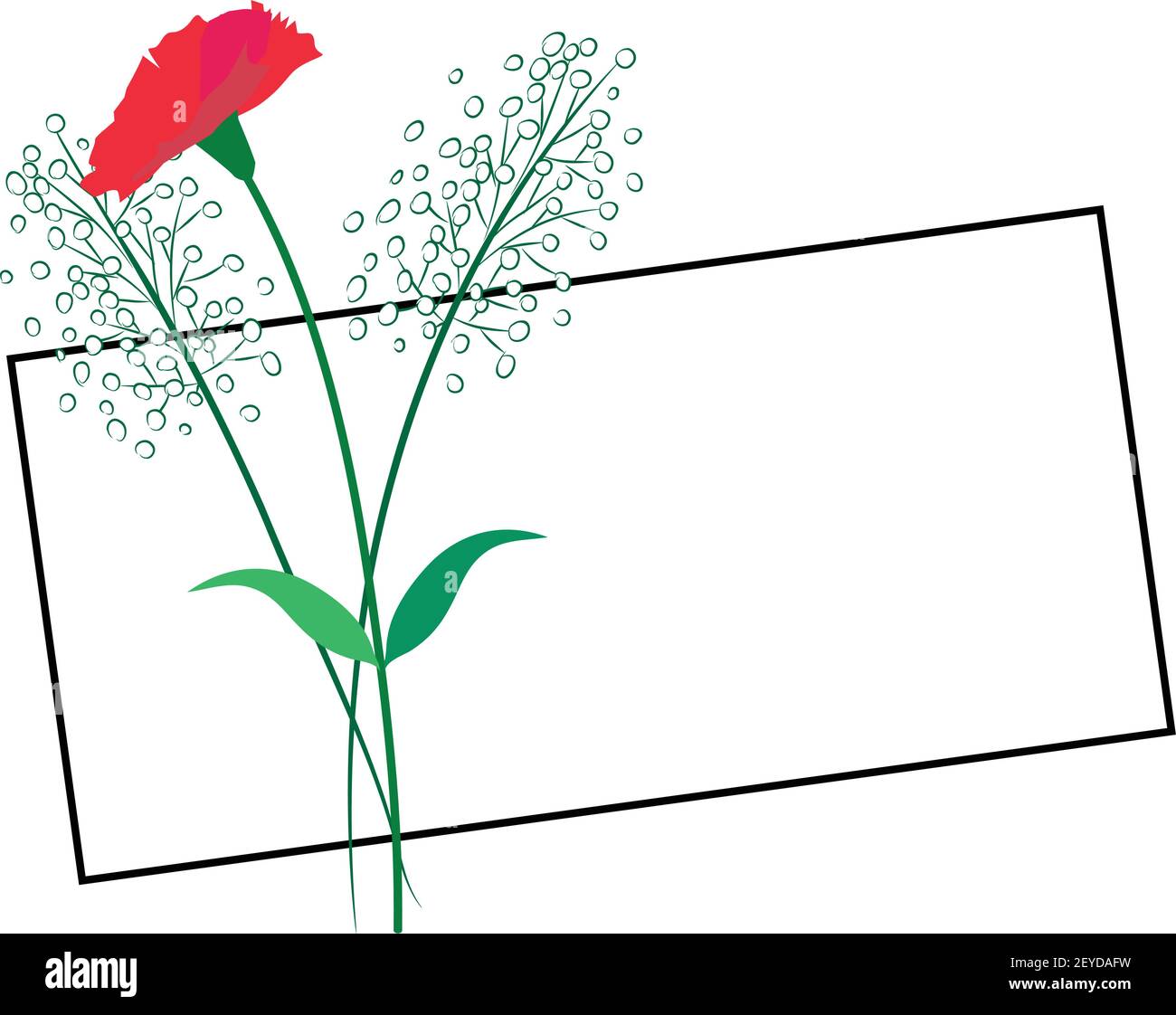 vector drawing art carnation flower with card border frame background ...