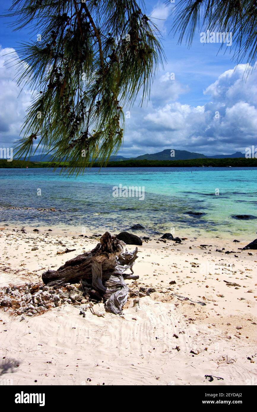 Indian ocean in mauritius Stock Photo - Alamy