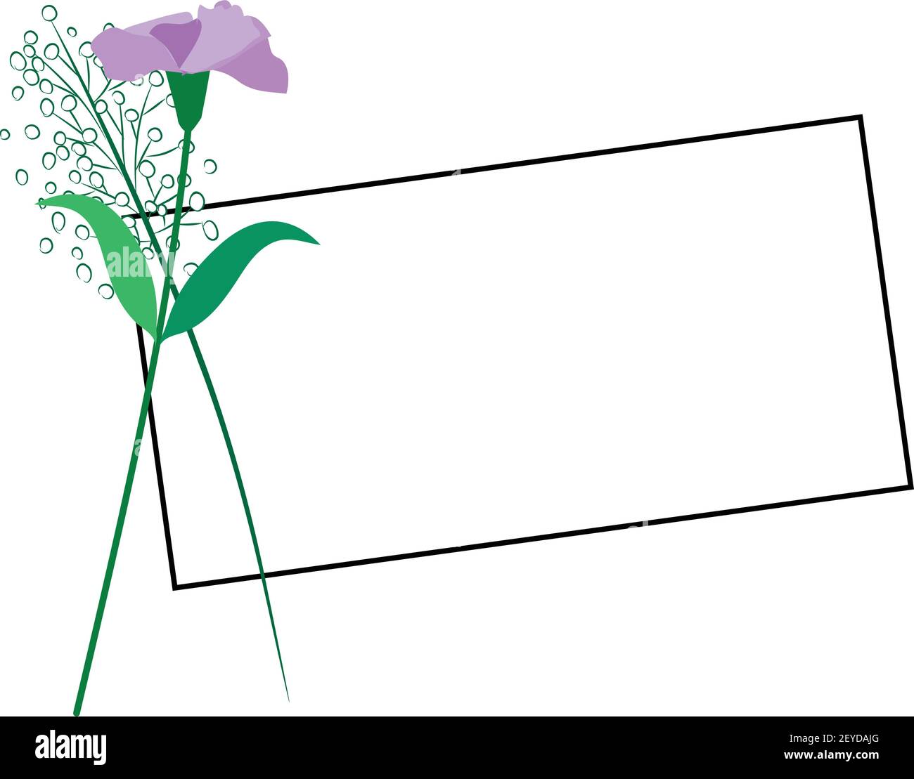 vector drawing art carnation flower with card border frame background ...