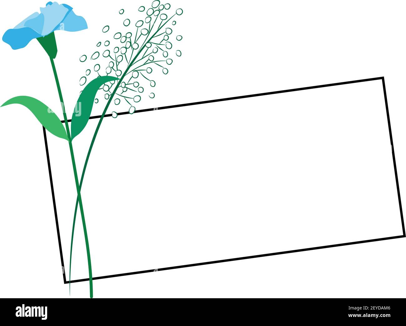 vector drawing art carnation flower with card border frame background ...