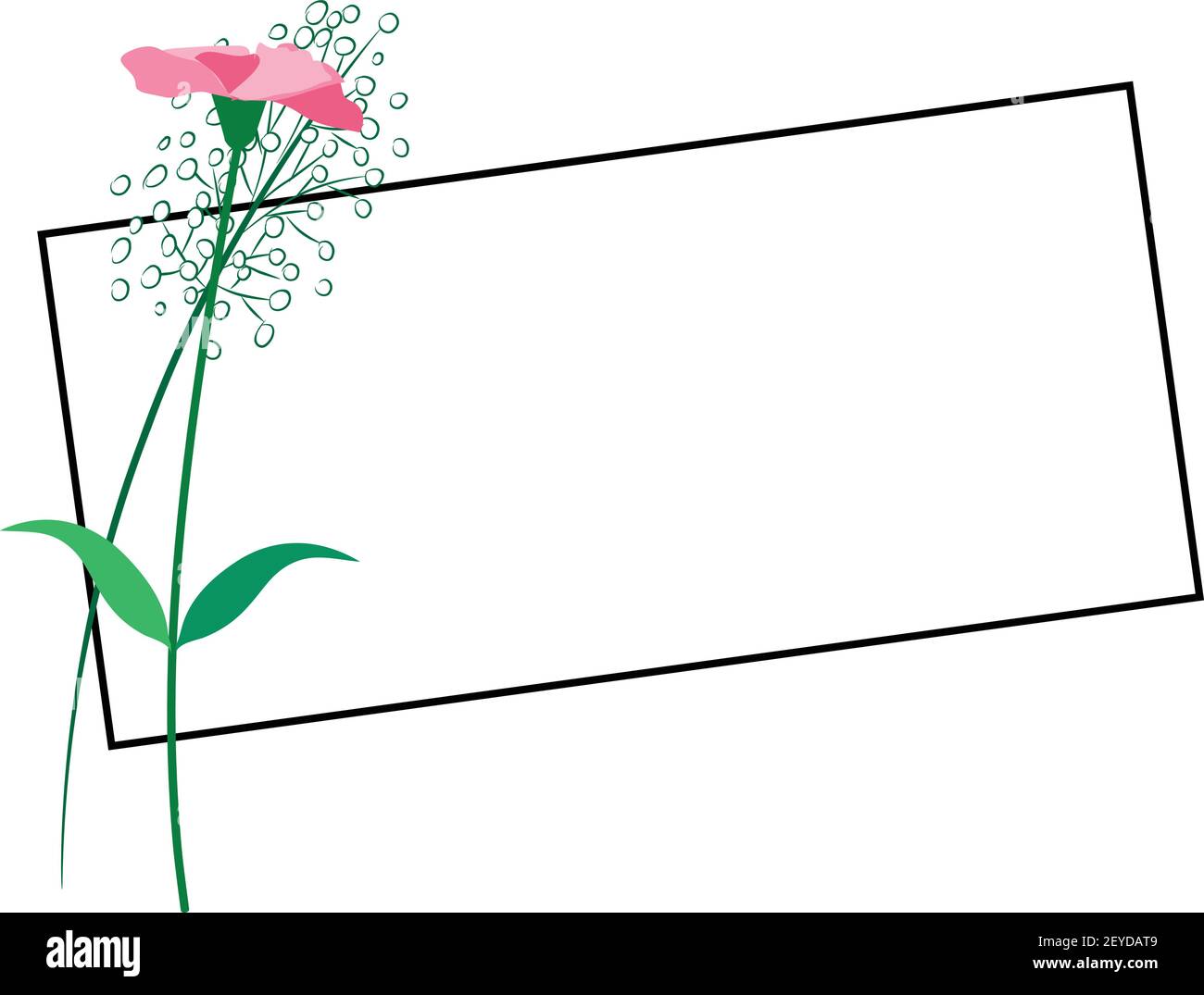 vector drawing art carnation flower with card border frame background ...