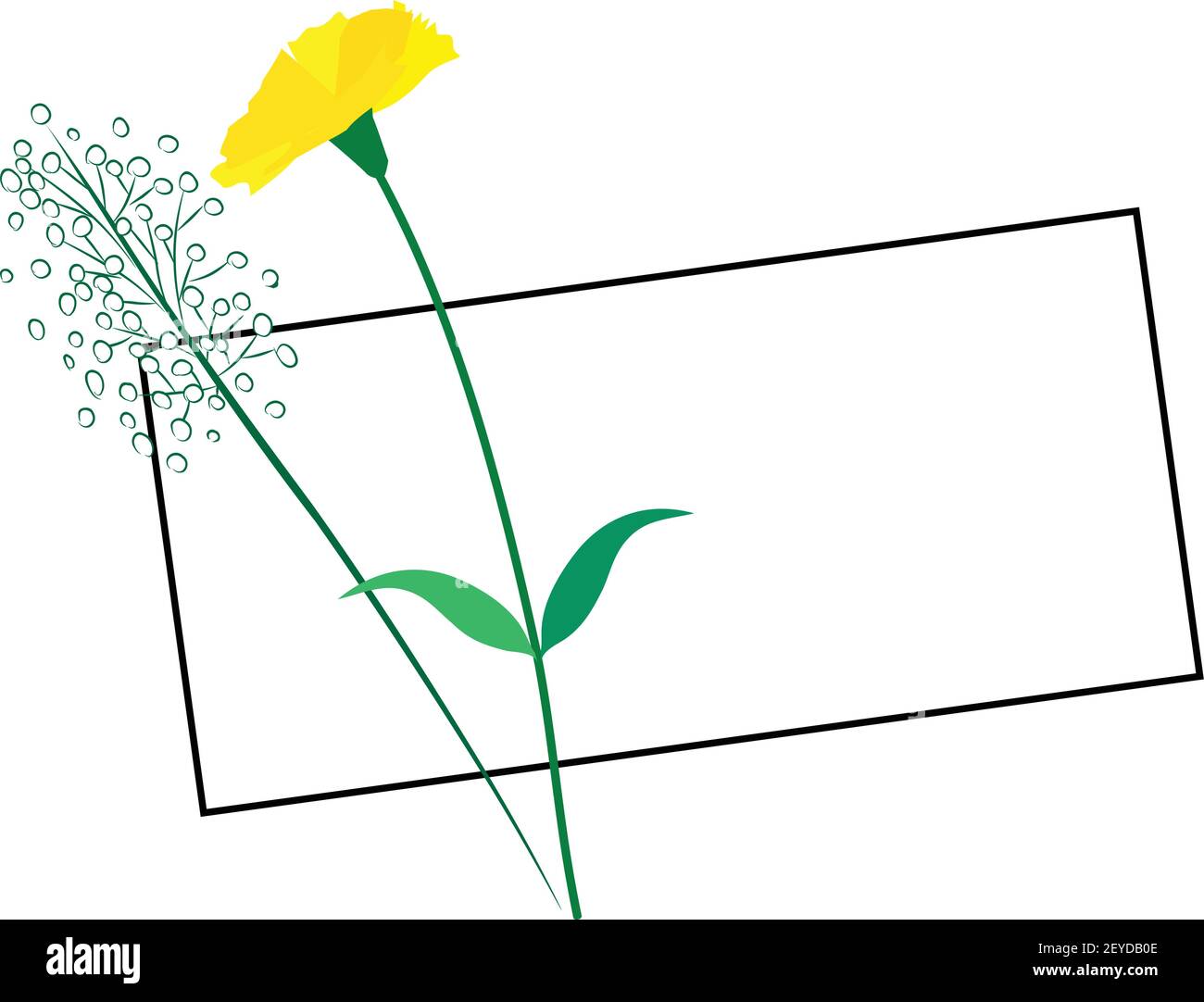 vector drawing art carnation flower with card border frame background ...