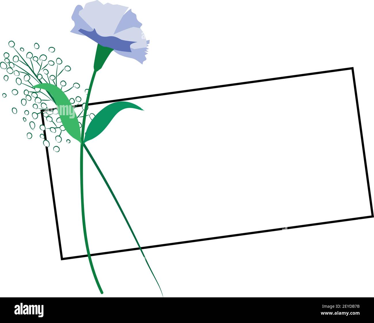 vector drawing art carnation flower with card border frame background ...