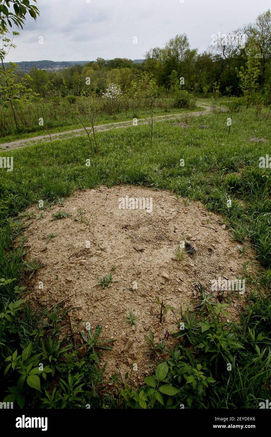 A simple grave is part of the landscape at the Foxfield Preserve, a ...