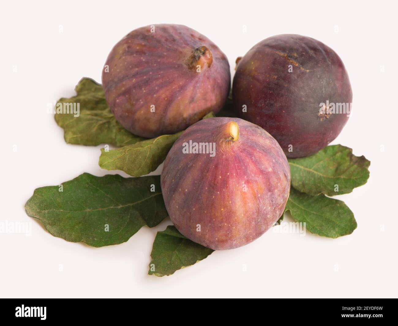 Fruits figs with fig leaves on white background Stock Photo - Alamy