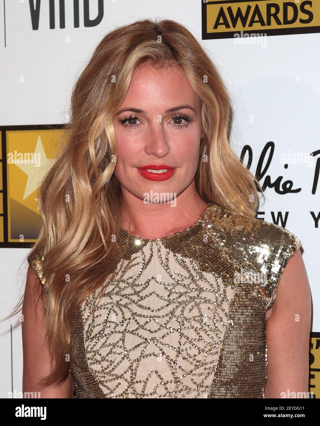Cat Deeley attends The Third Annual Critics Choice Awards at the ...