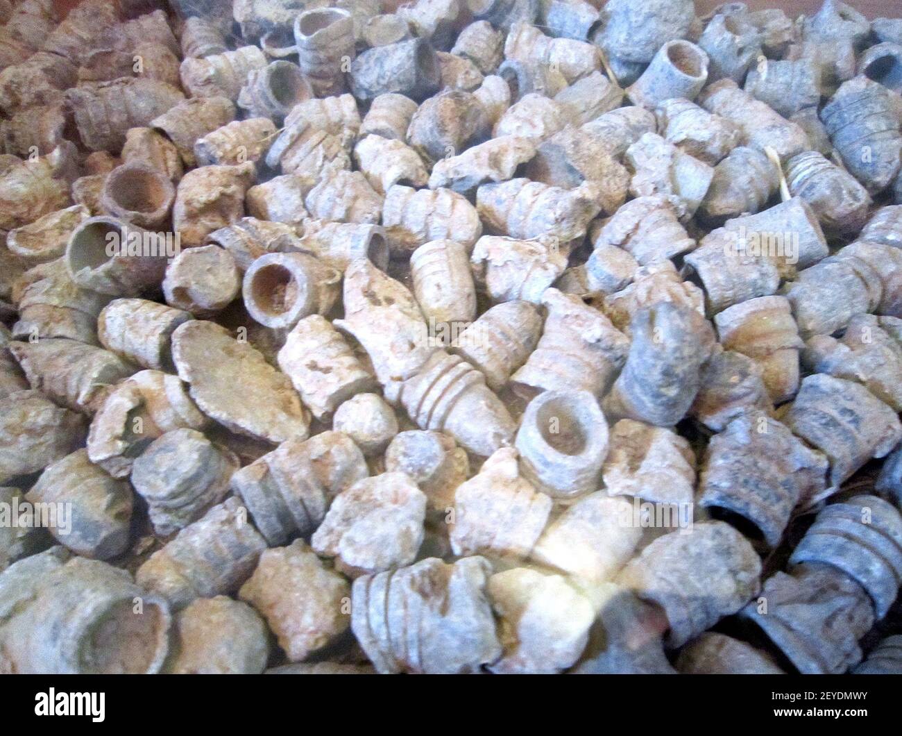 Civil War bullets, like those used at Gettysburg, were large and made ...