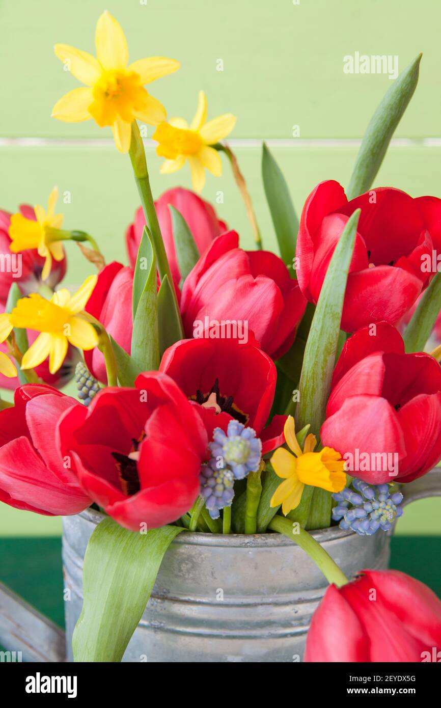 Spring flowers in vintage pot Stock Photo - Alamy