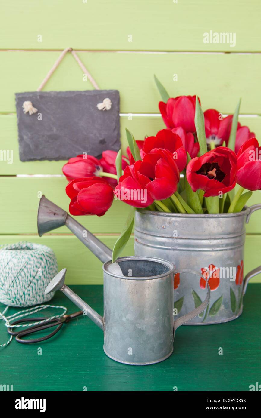 Red tulips in vintage pot Stock Photo - Alamy