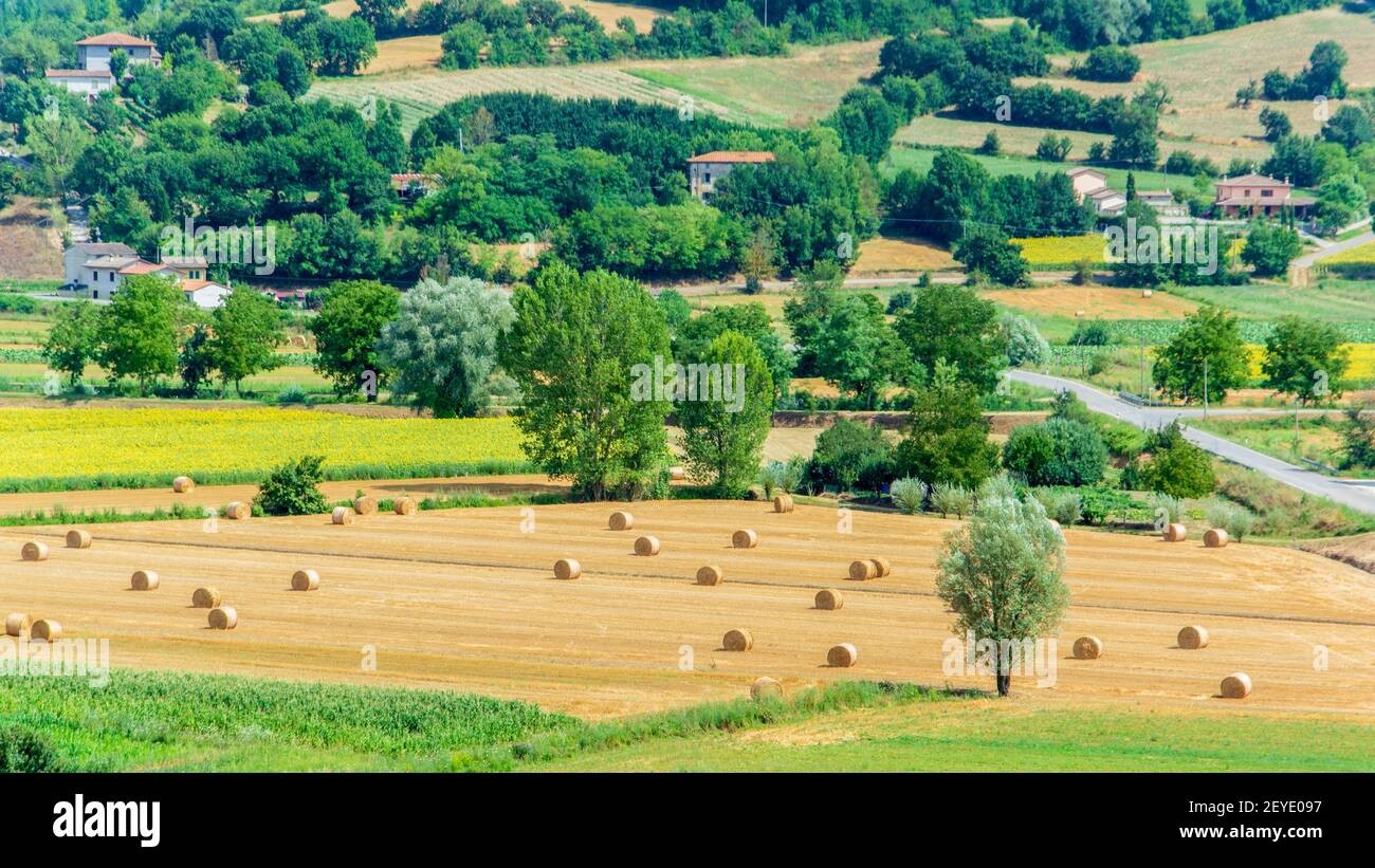 An aerial shot of agricultural fields surrounded with greenery covered ...