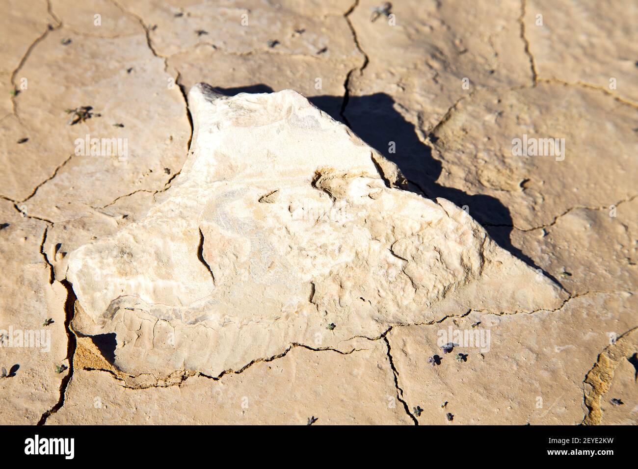 Brown dry sand sahara desert stone rock Stock Photo - Alamy