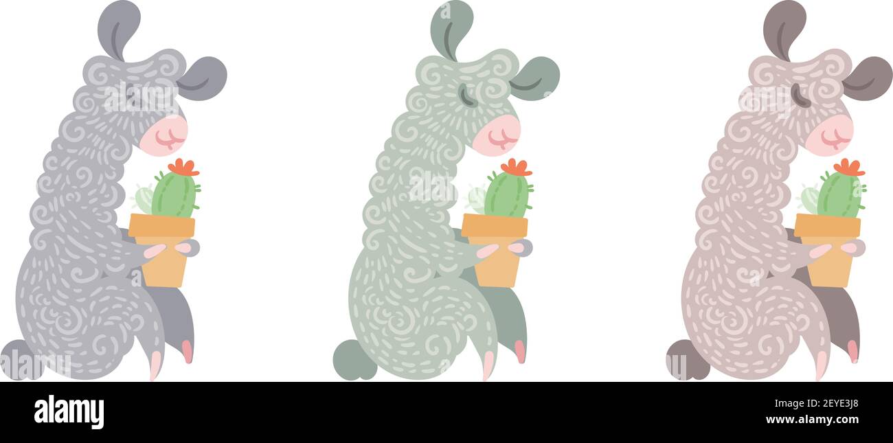 Set of cute curly alpacas with blooming cactus in a clay pot ...
