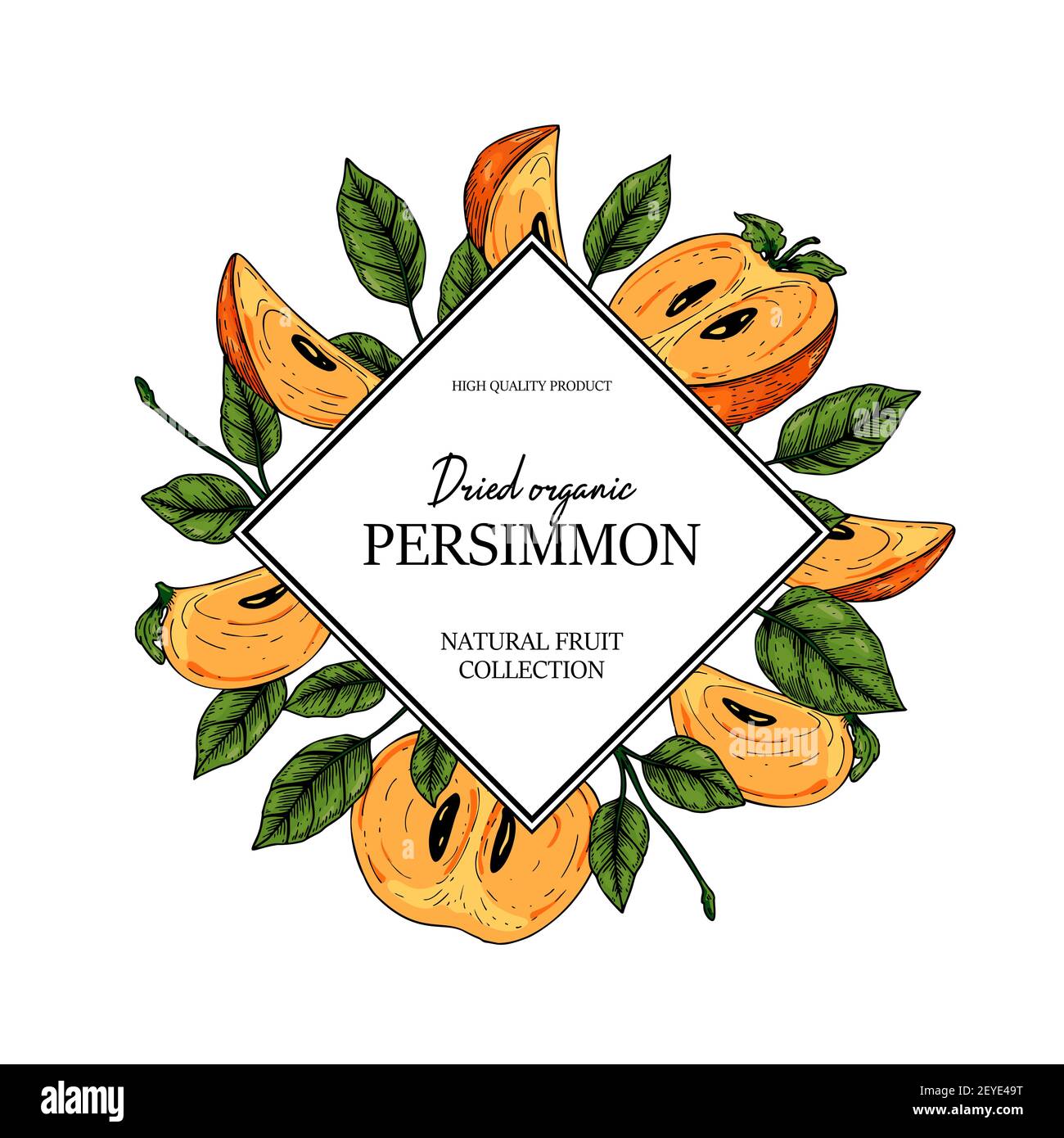 Hand drawn colorful persimmon design. Vector illustration in colored ...