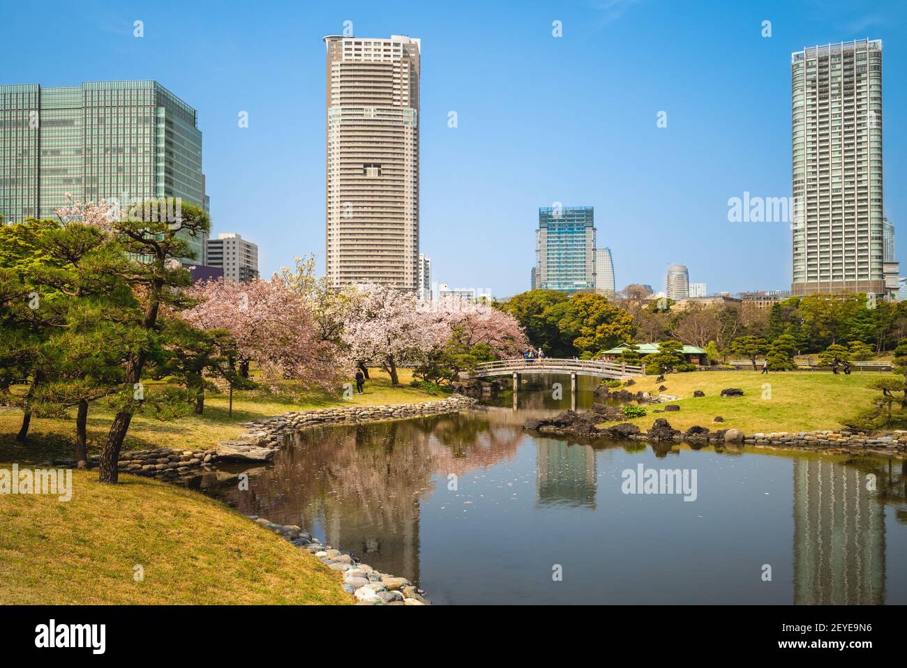 Hama Rikyu Garden, a public garden in tokyo, japan Stock Photo - Alamy
