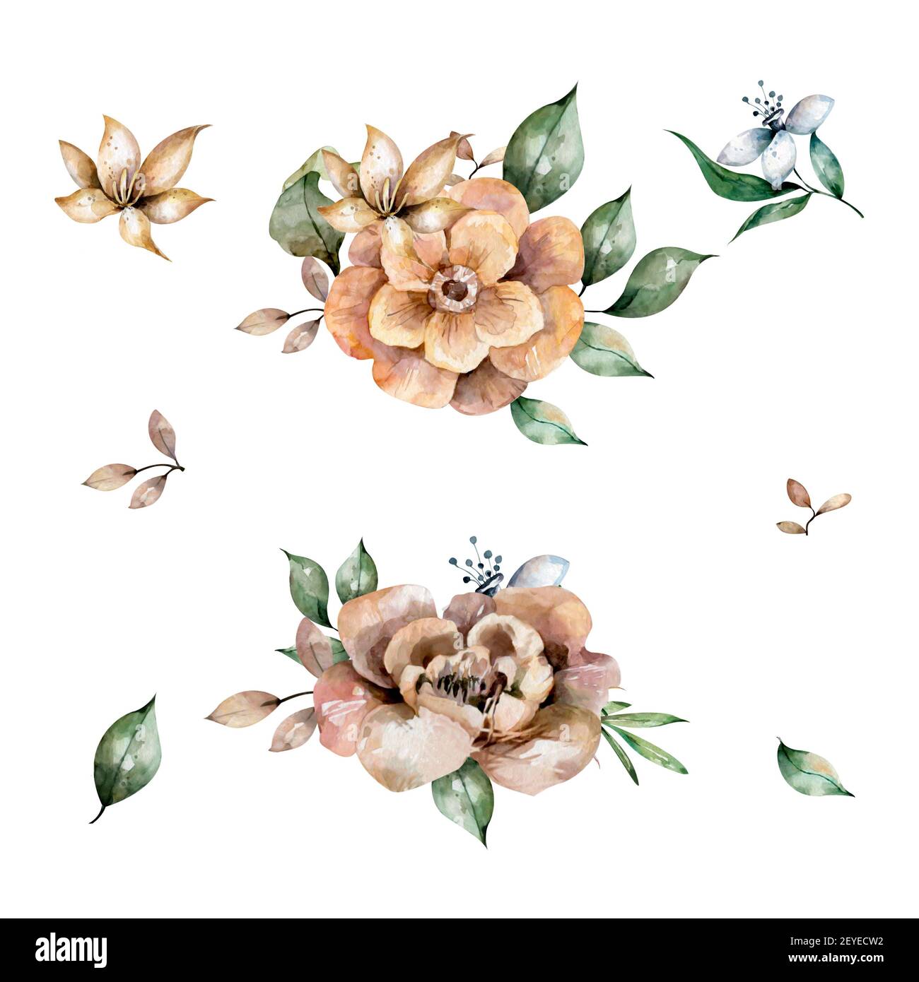 Ivory tones Cut Out Stock Images & Pictures - Alamy