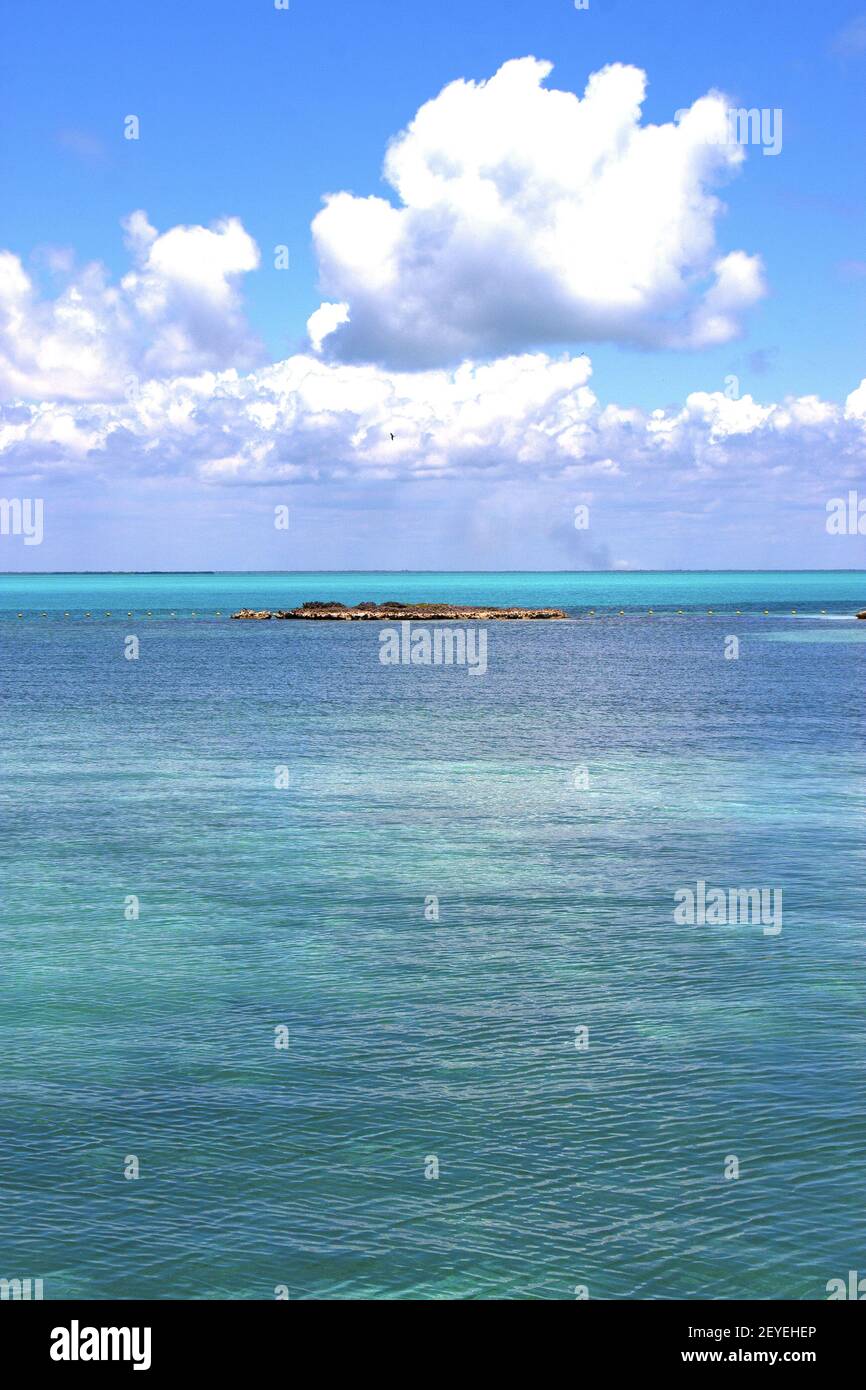 Wave mexico froath and blue rock Stock Photo - Alamy