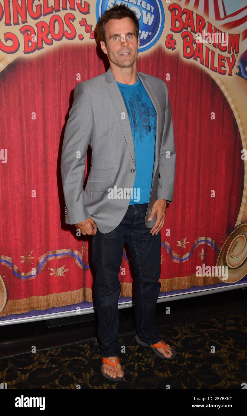 11 July 2013 - Los Angeles, Ca - Cameron Mathison. Red carpet premiere ...