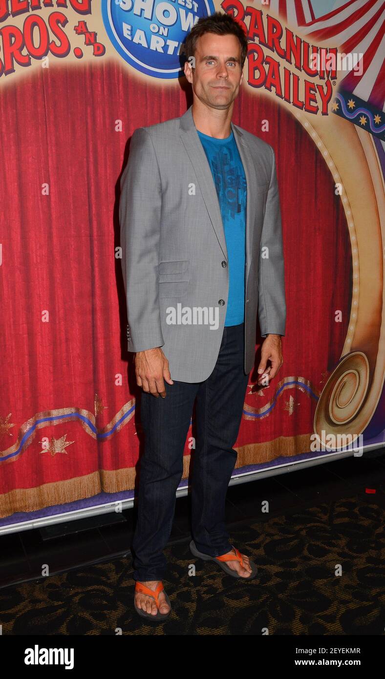 11 July 2013 - Los Angeles, Ca - Cameron Mathison. Red carpet premiere ...