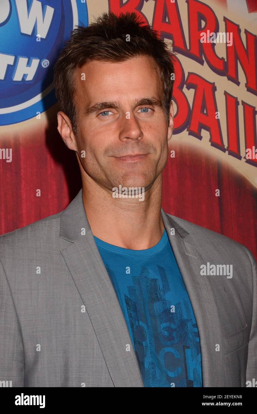 11 July 2013 - Los Angeles, Ca - Cameron Mathison. Red carpet premiere ...