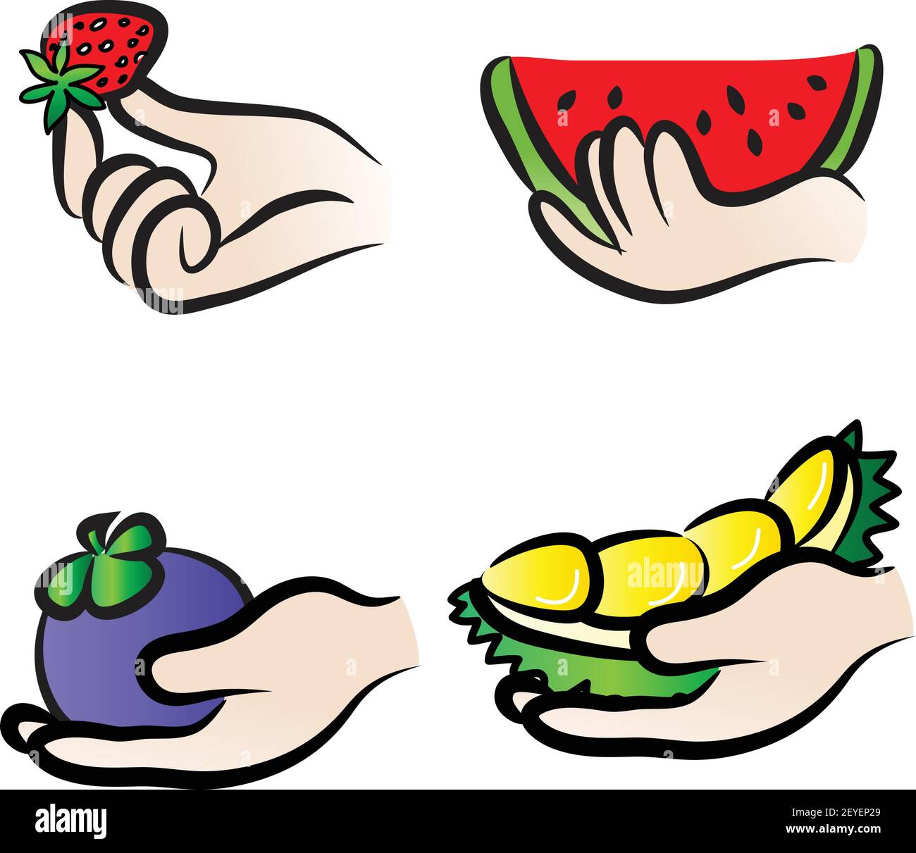 vector hands hold fruits set Stock Vector Image & Art - Alamy
