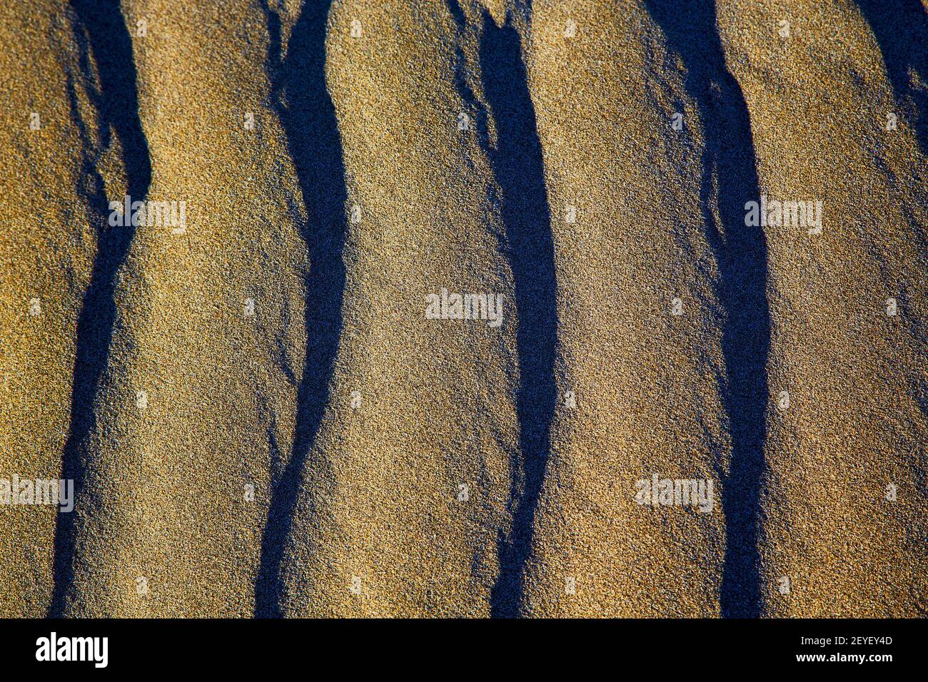 Spain texture abstract of a dry sand and Stock Photo - Alamy