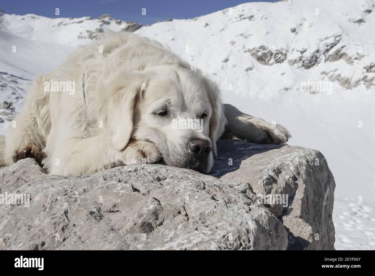 Rest period hi-res stock photography and images - Alamy