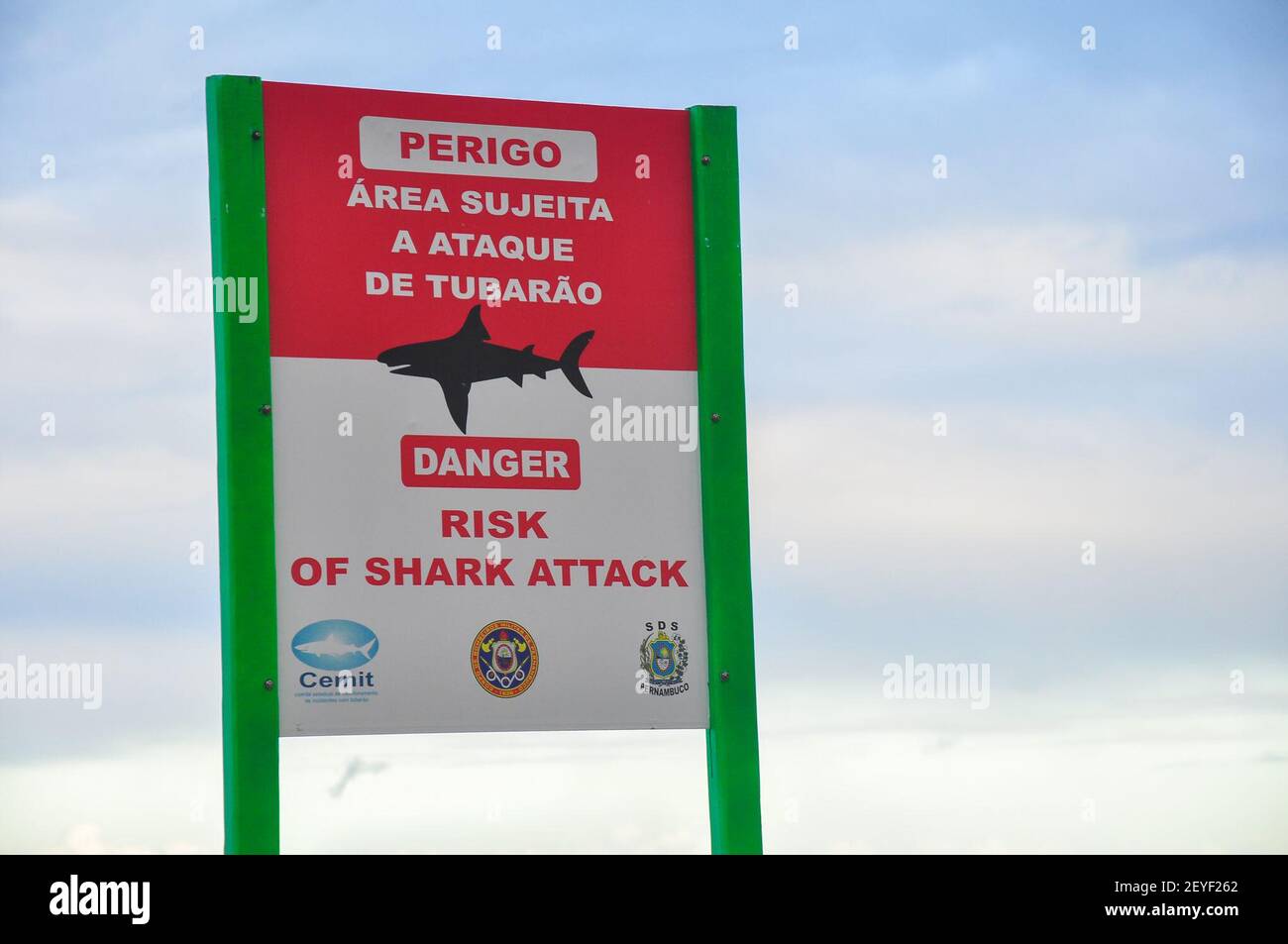 A Shark attack has been registered in Boa Viagem Beach, south of Recife ...