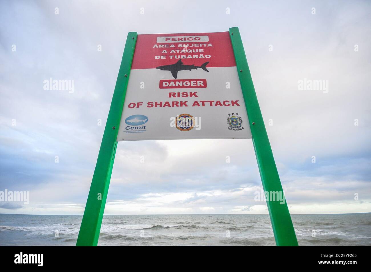 A Shark attack has been registered in Boa Viagem Beach, south of Recife ...