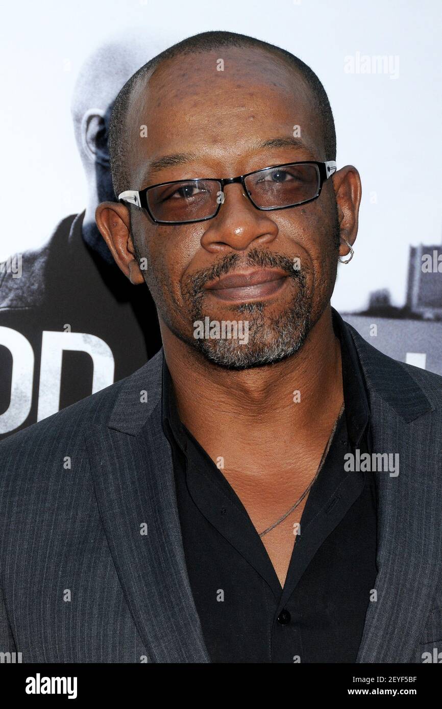 25 July 2013 - Hollywood, California - Lennie James. "Low Winter Sun ...
