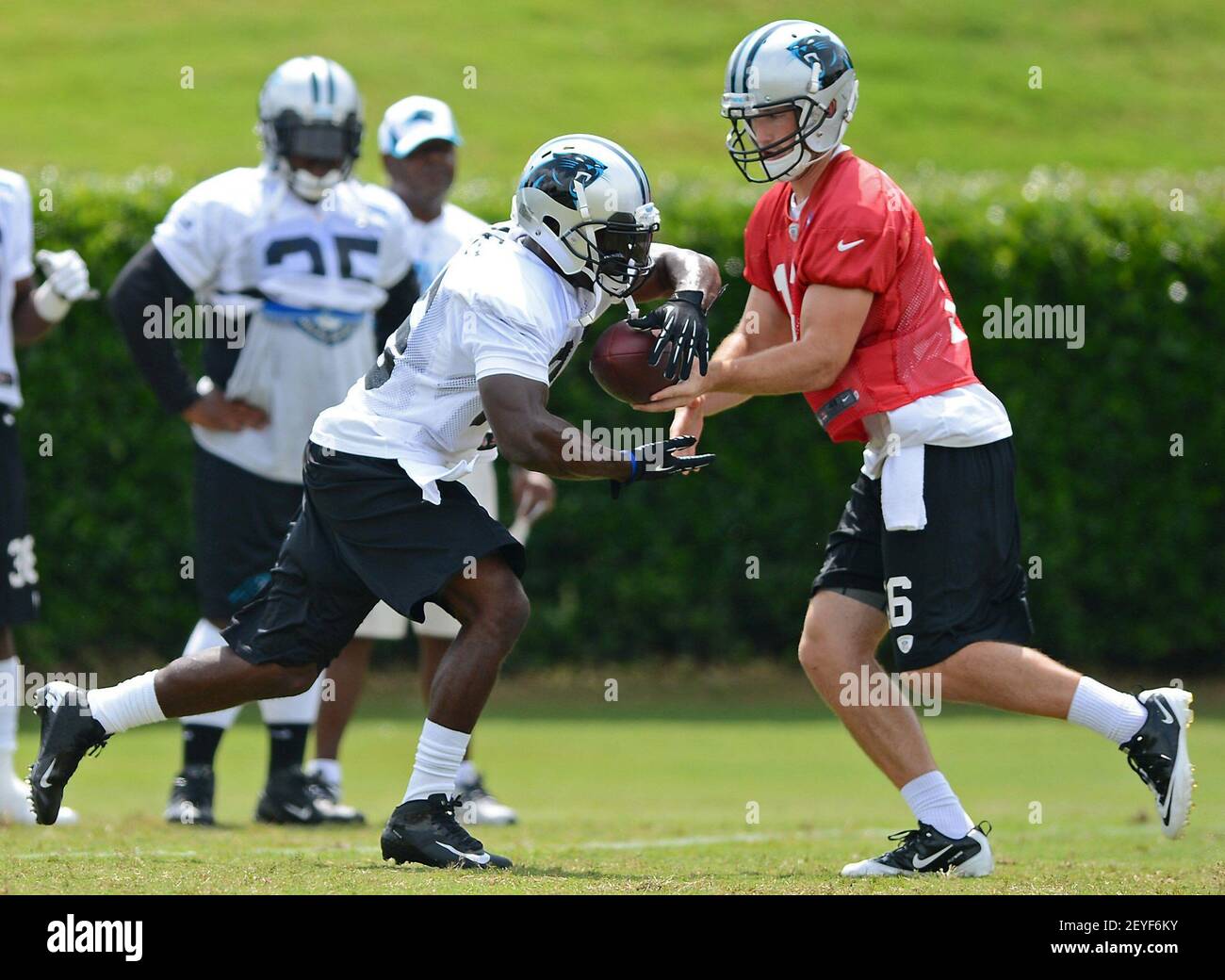Carolina Panthers rookie running back Kenjon Barner takes a handoff ...