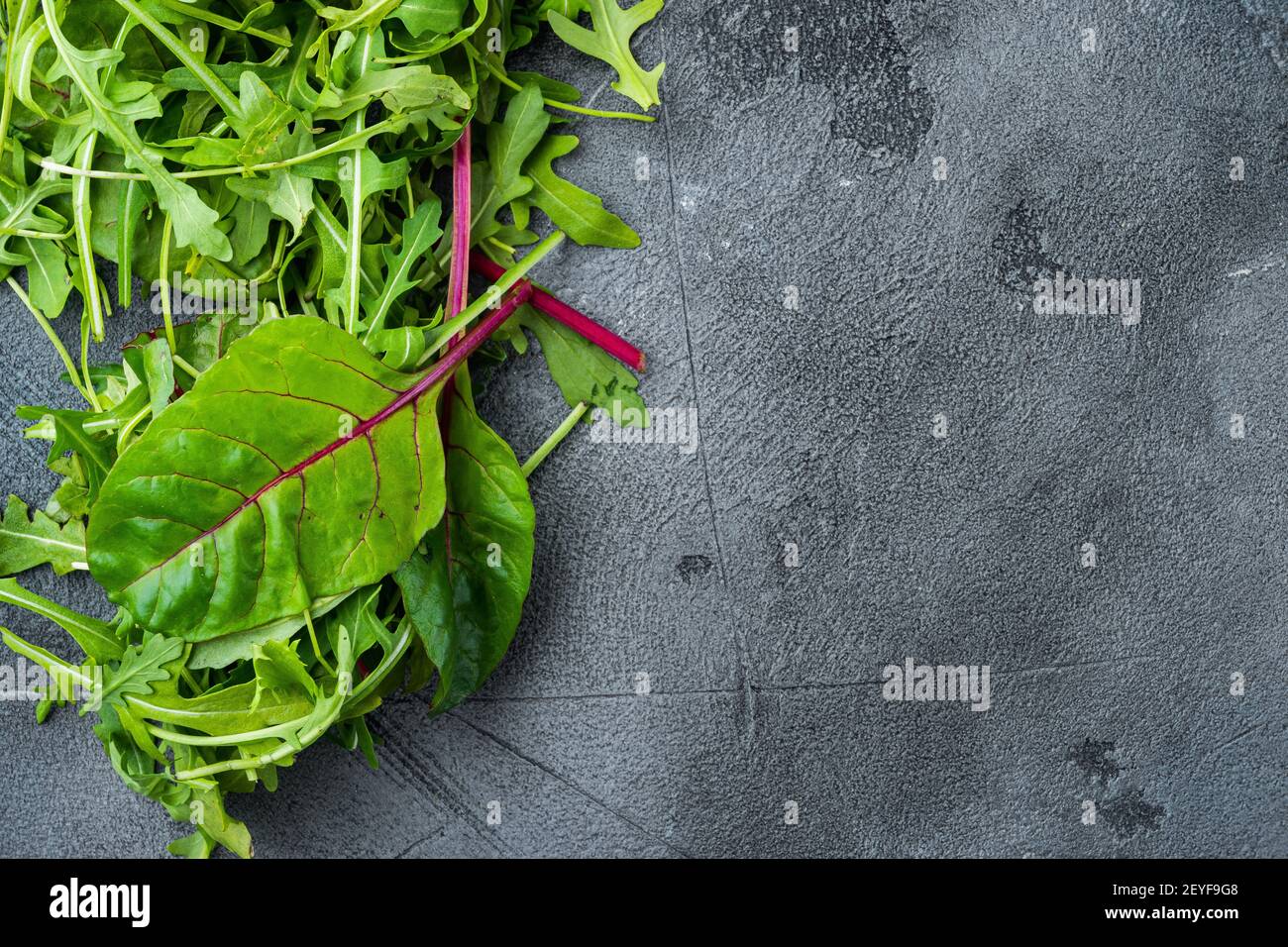 Arugula raab and Mangold, Swiss chard, on gray stone background, top ...