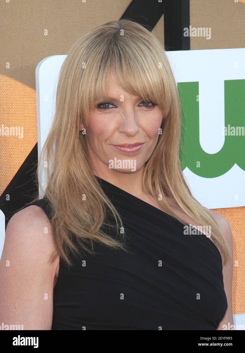 Toni Collette attends The 2013 CBS Televison Critics Association Party ...