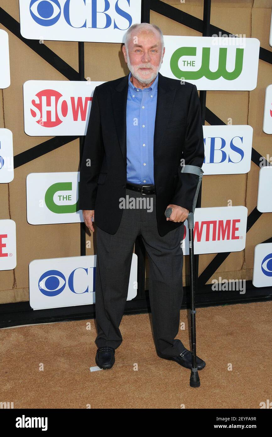 29 July 2013 - Beverly Hills, California - Robert David Hall. CBS ...