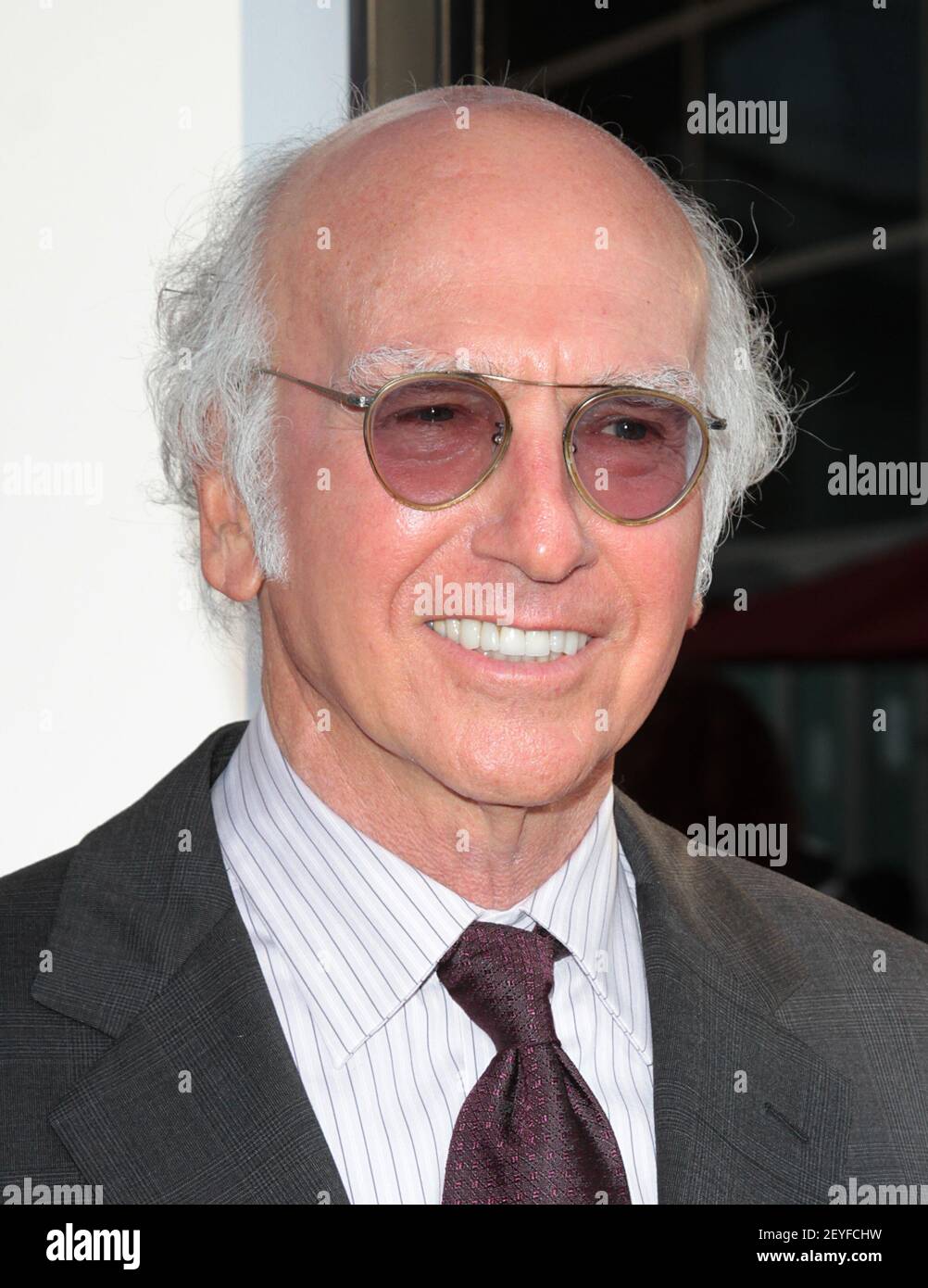Larry David attends The Los Angeles Premiere of "Clear History" at the ...