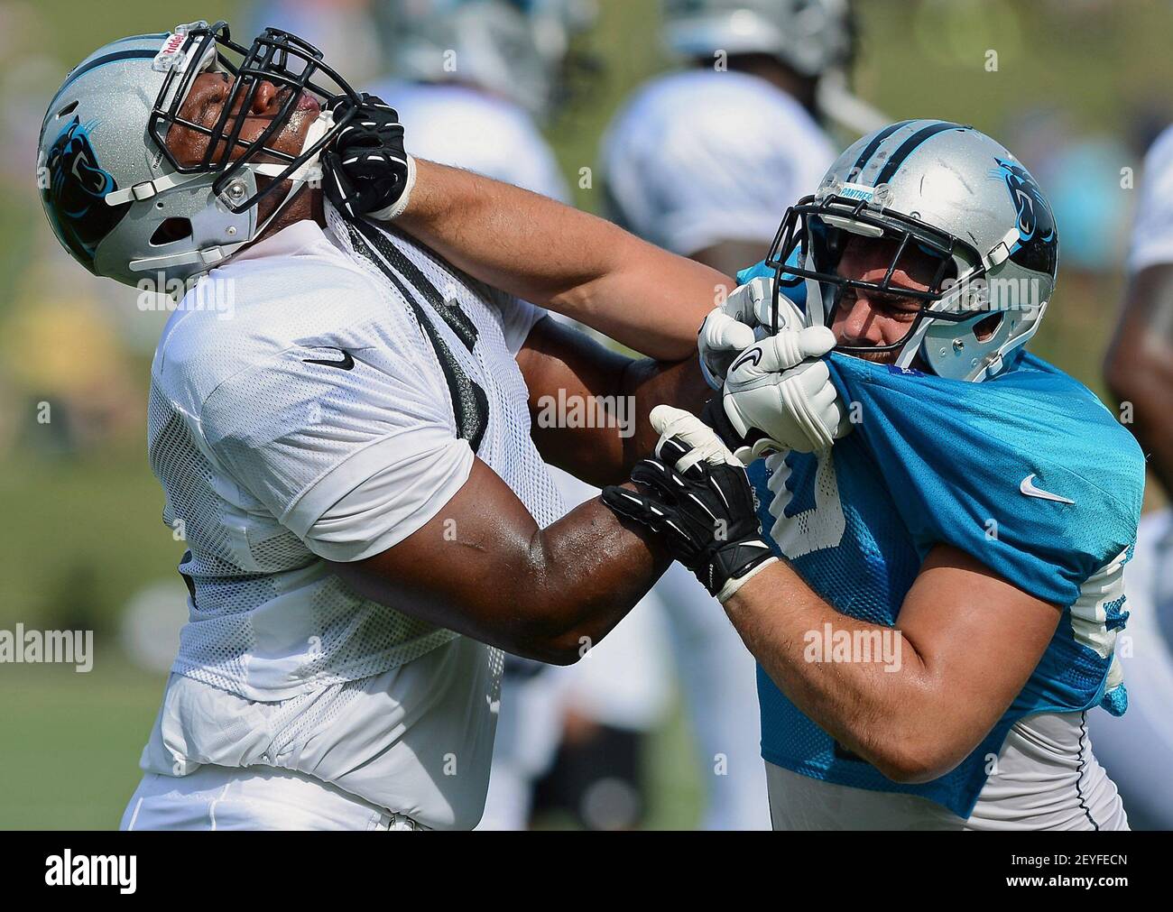 Carolina Panthers tackle Garrett Chisolm (71) and defensive end Craig ...