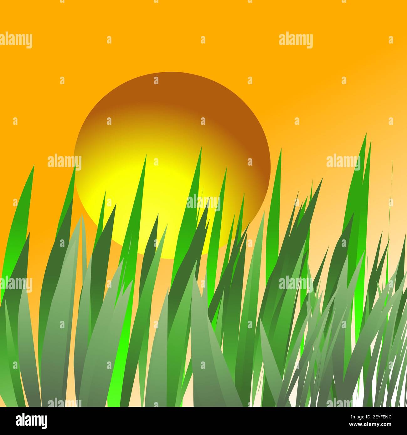 An illustration of sun and green leaves Stock Photo - Alamy