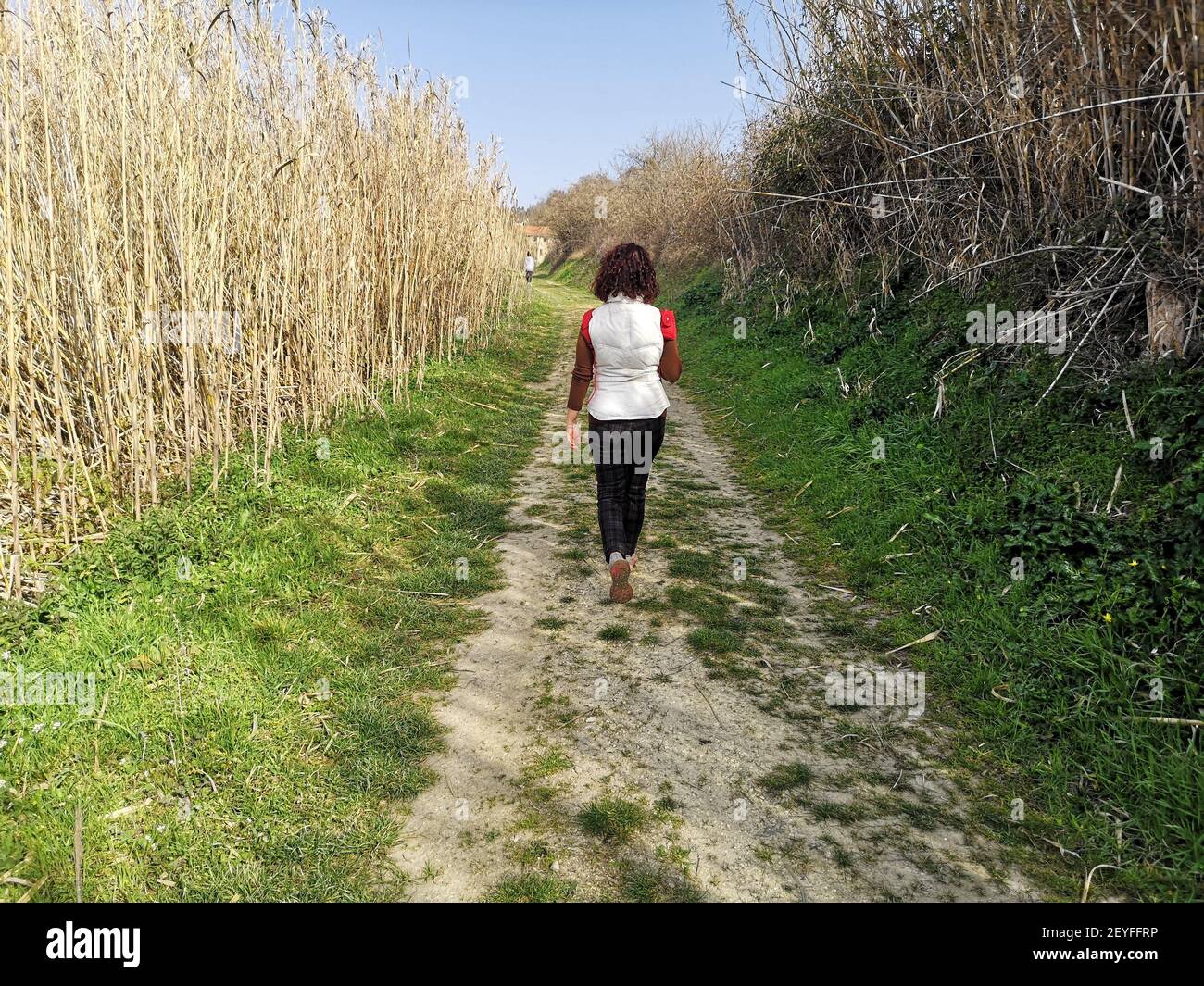 A back view of a female walking in nature Stock Photo - Alamy