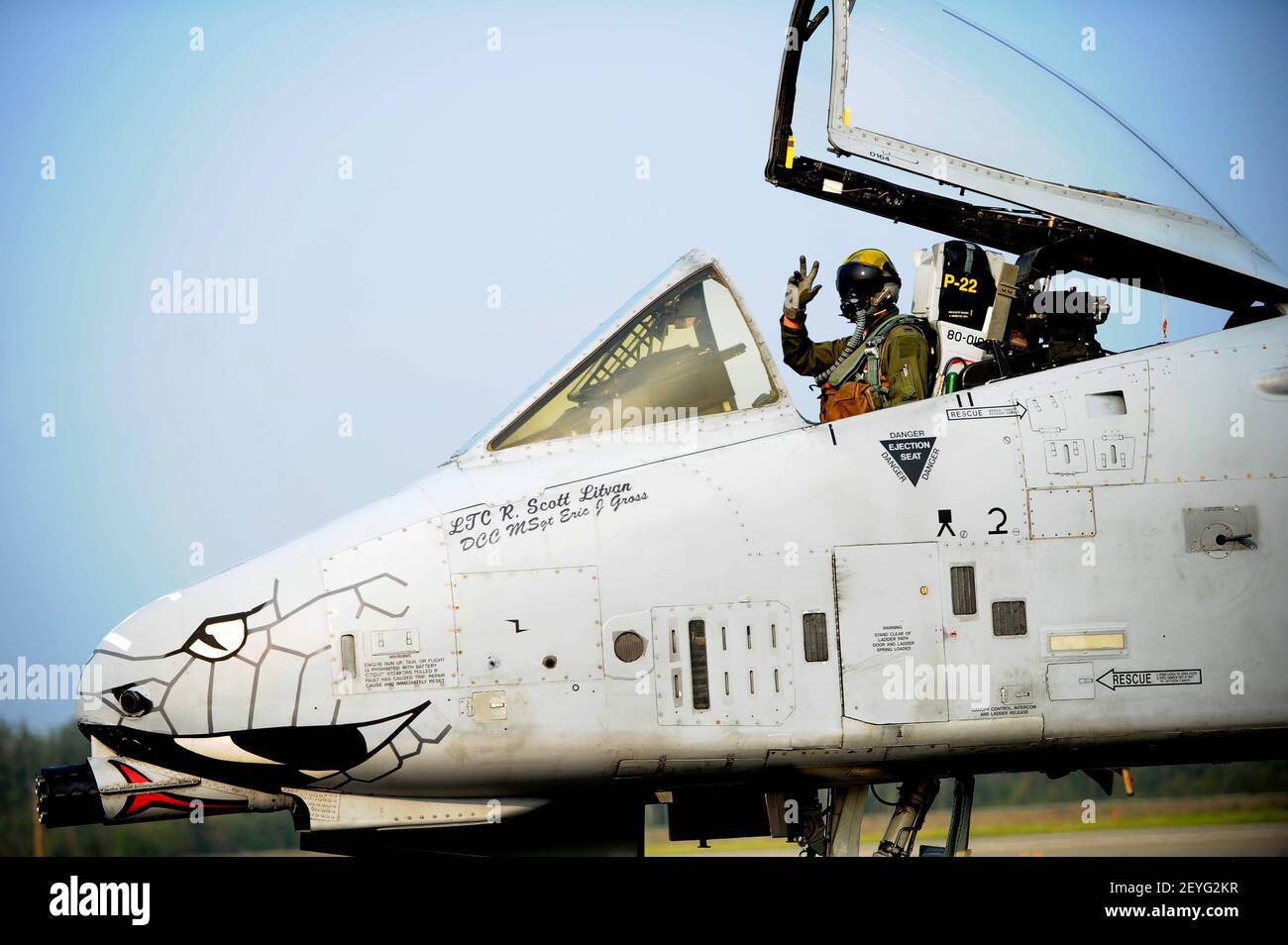 A U.S. Air Force A-10 Thunderbolt aircraft pilot assigned to the 163rd ...