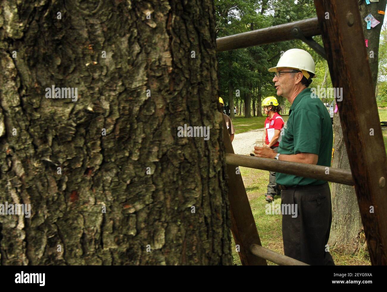 Tree research scientists from around the world listen as Tom Smiley ...