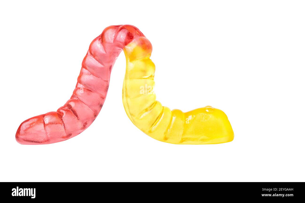 Close-up of a backlit red-yellow gummy worm isolated on white Stock ...
