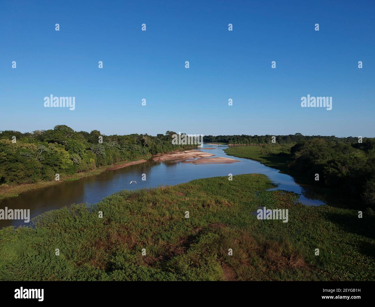 Aerial view of Rio Cuiaba, Pantanal, Mato Grosso, Brazil Stock Photo ...