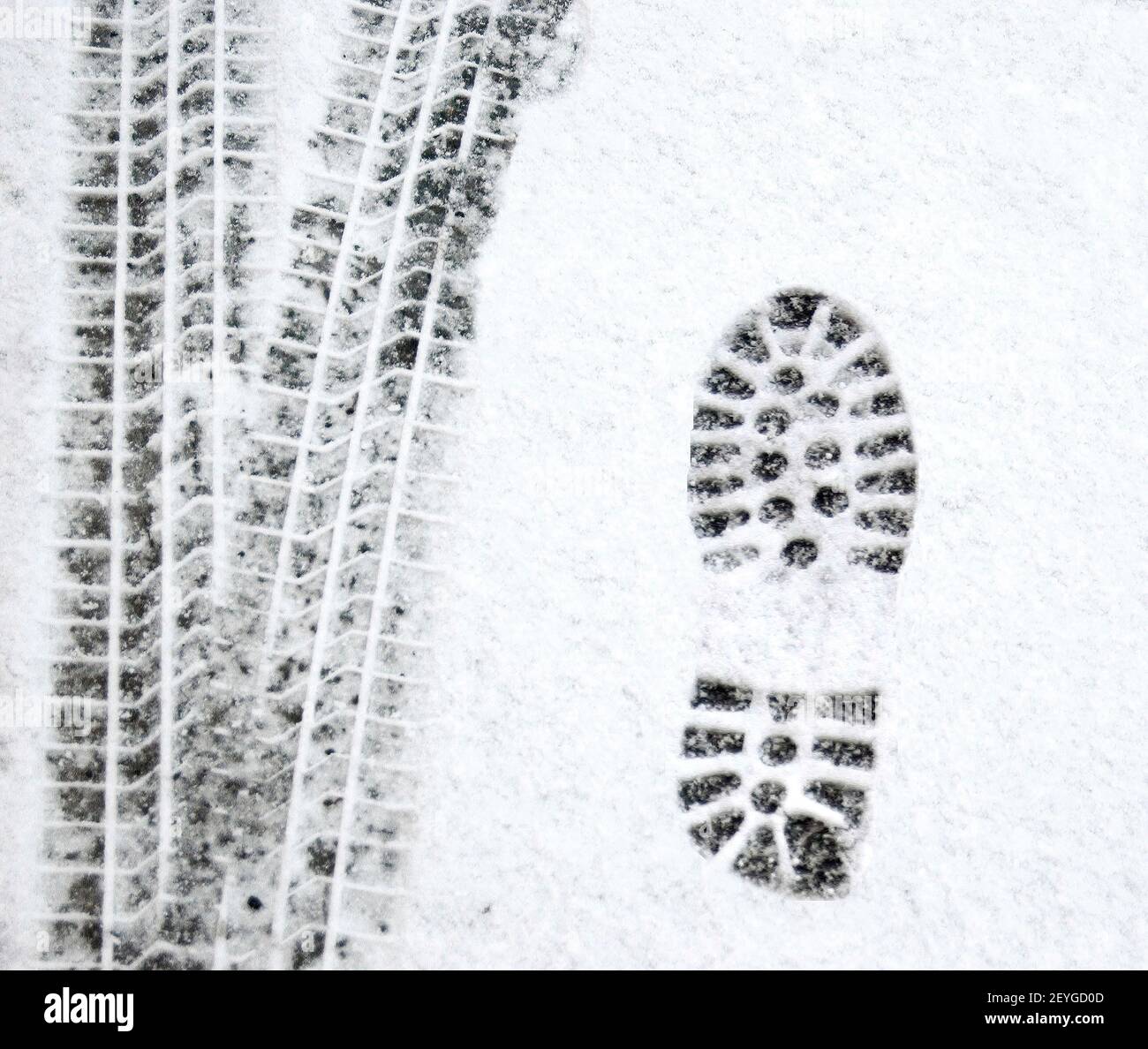 A close-up view of a single footstep alongside tire tracks in fresh ...