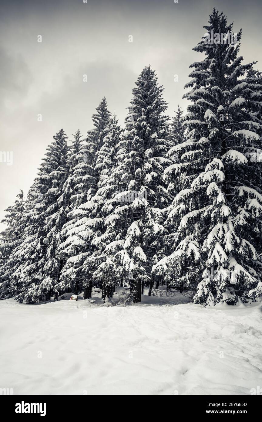 Mesmerizing shot beautiful snow hi-res stock photography and images - Alamy