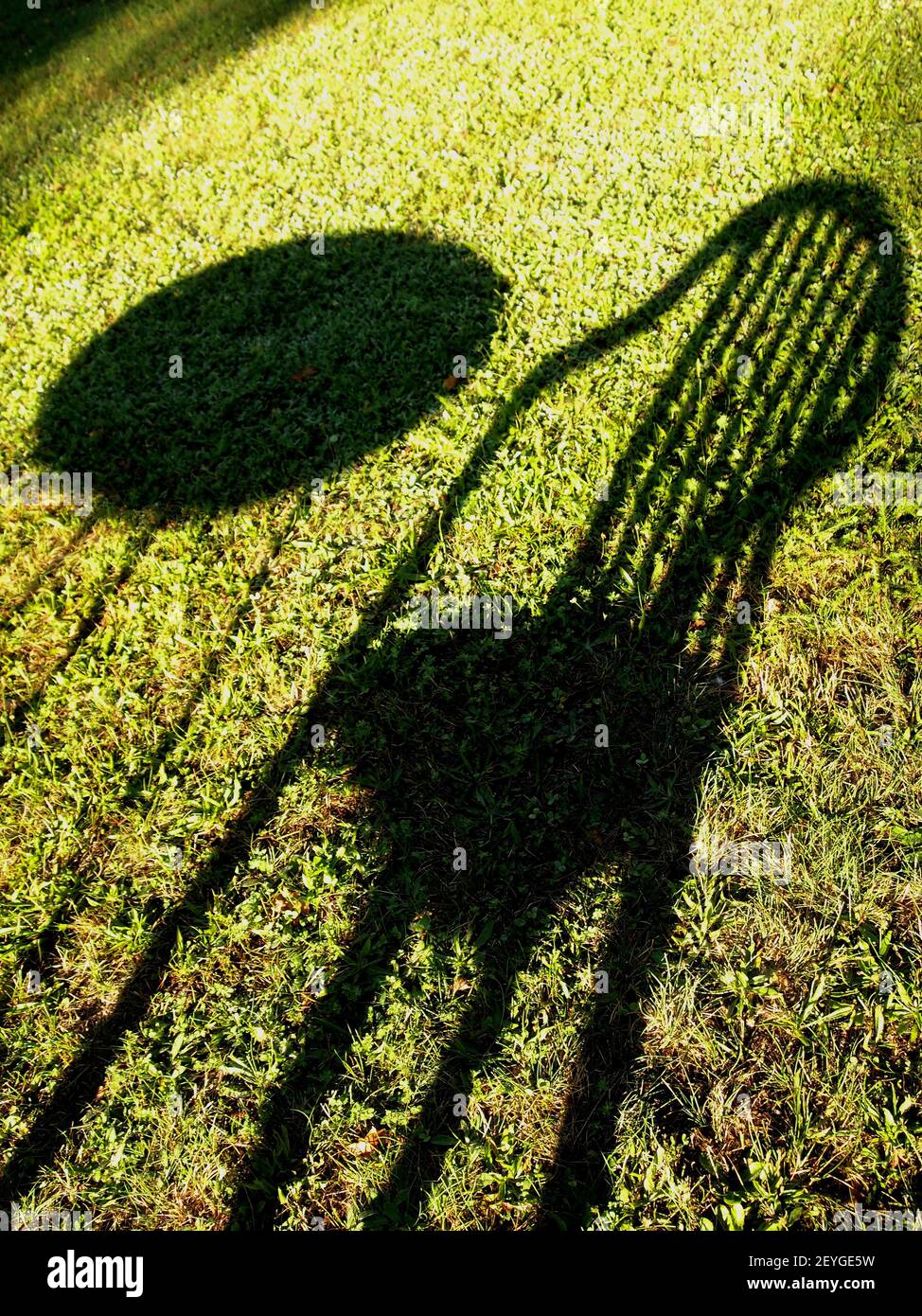 Grassy shadow hi-res stock photography and images - Alamy