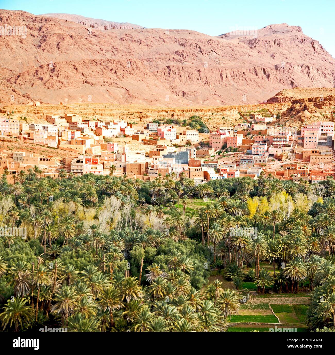 In todra gorge morocco africa and village Stock Photo - Alamy