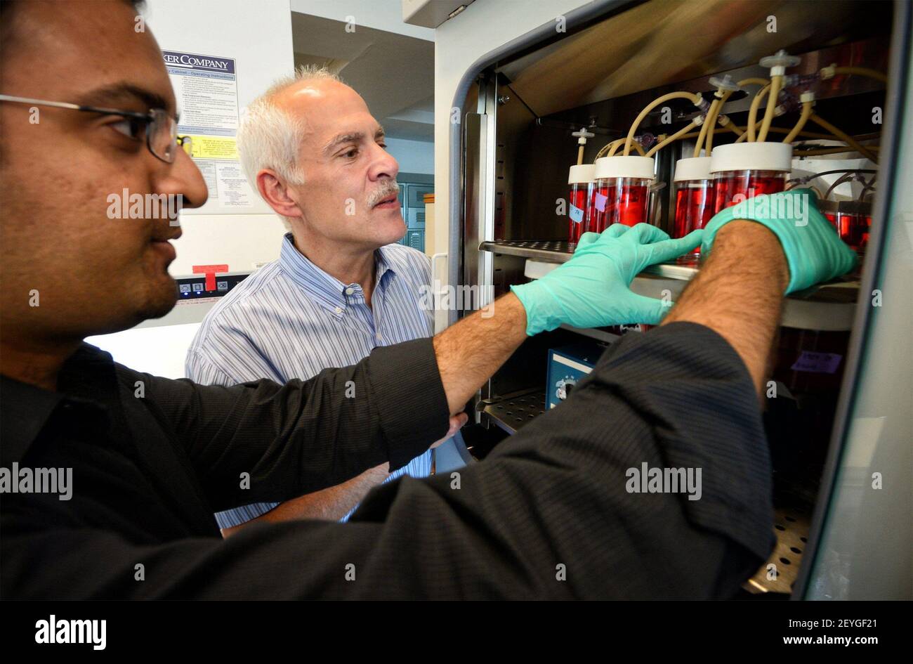 Zeeshan Syedain, left, and Robert Tranquillo, are producing tissue ...